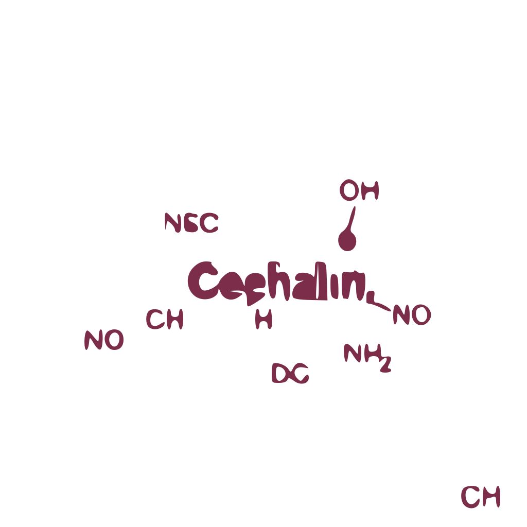A Chemical Structure of Cephalin | CraftyCuts.ai