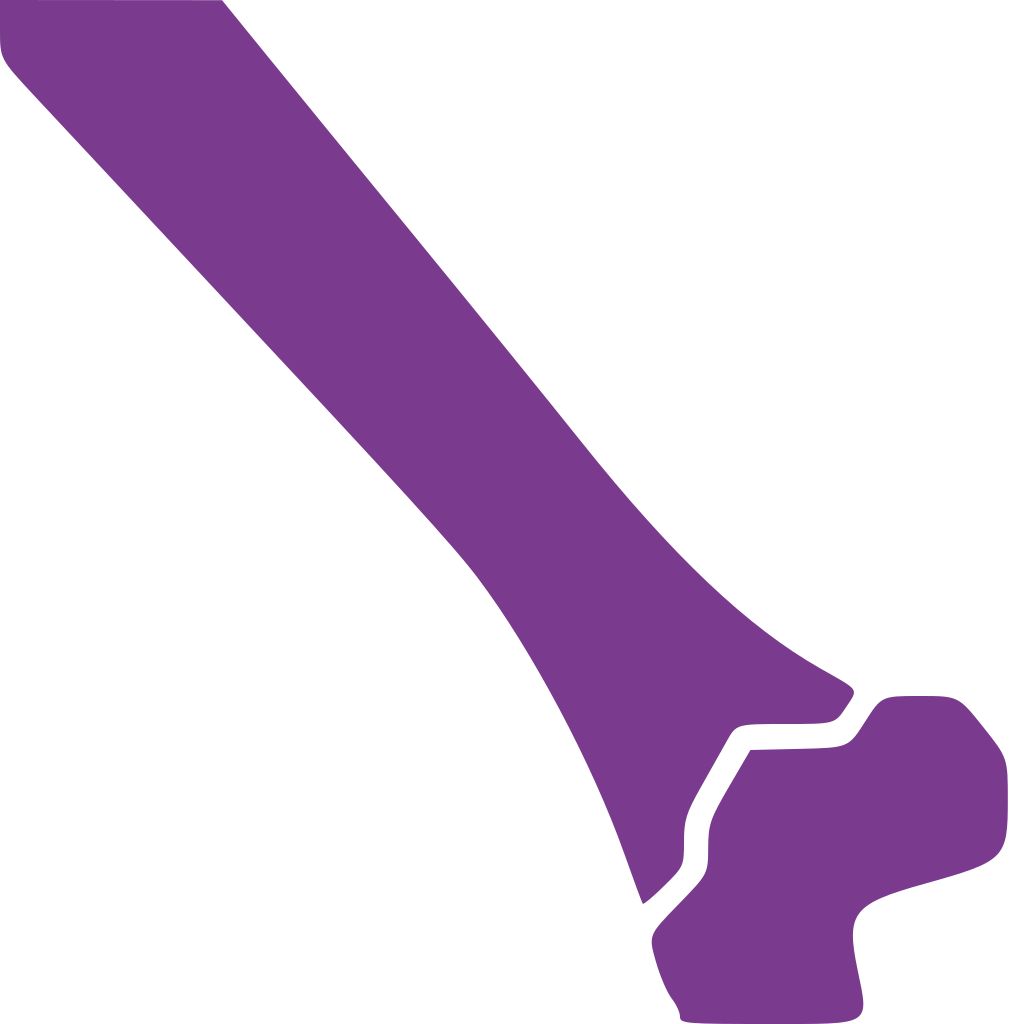 Bone Fracture | CraftyCuts.ai